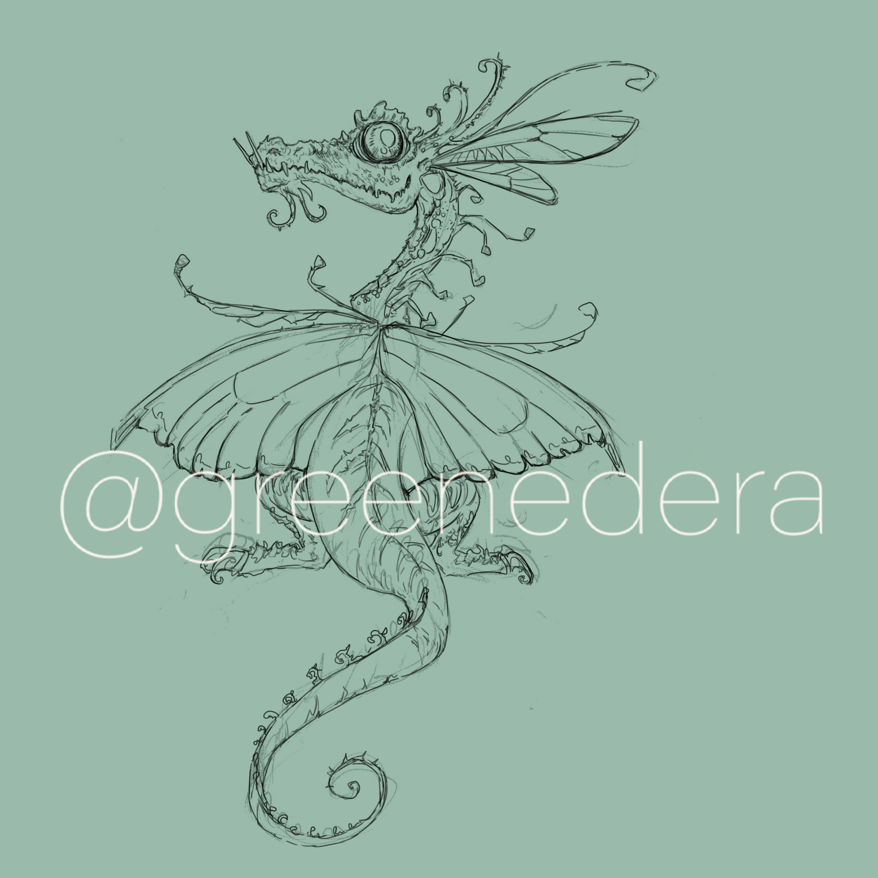 Fae dragon – Greenedera art